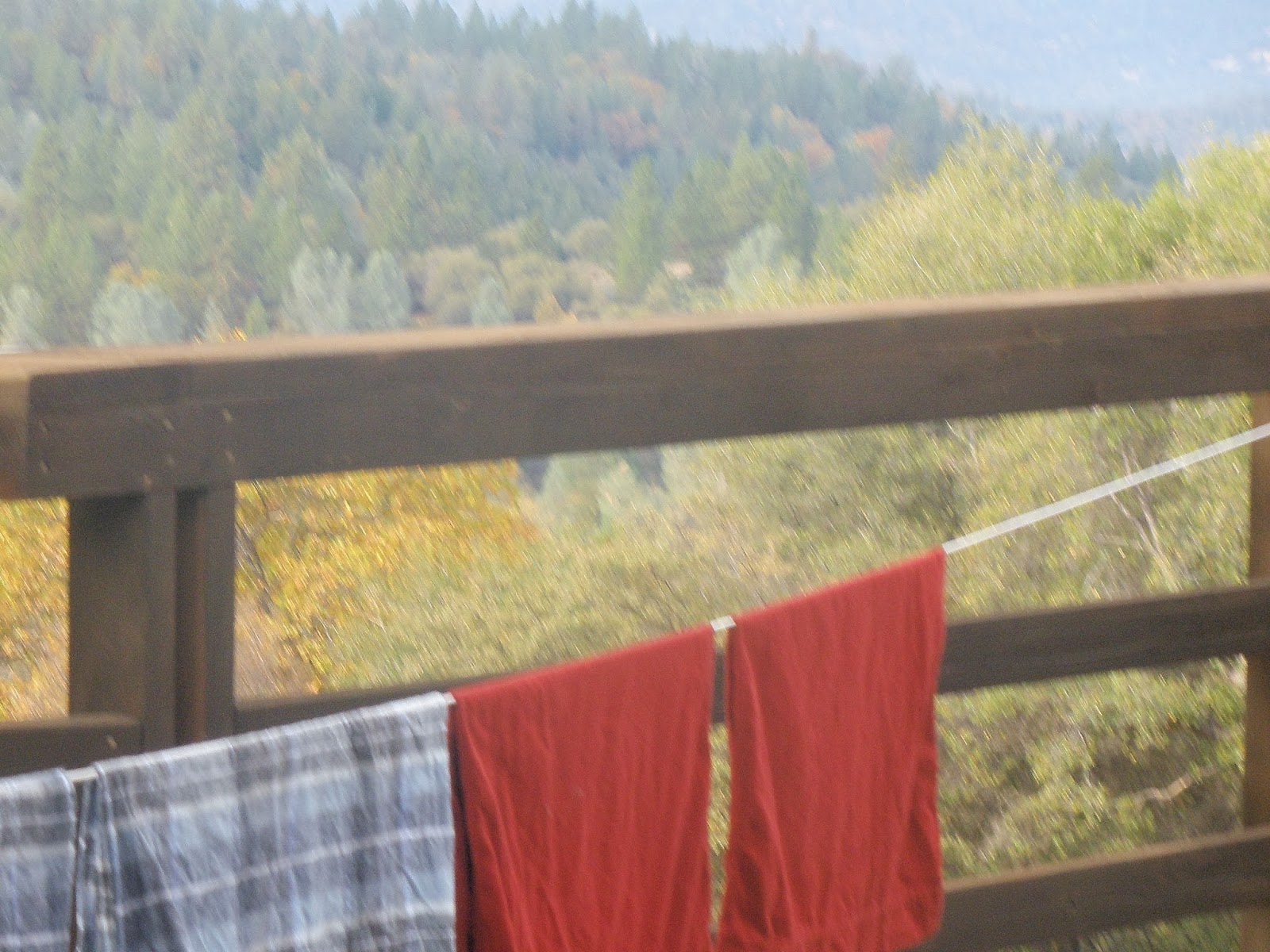 Stable Road Homestead Blog: 2013