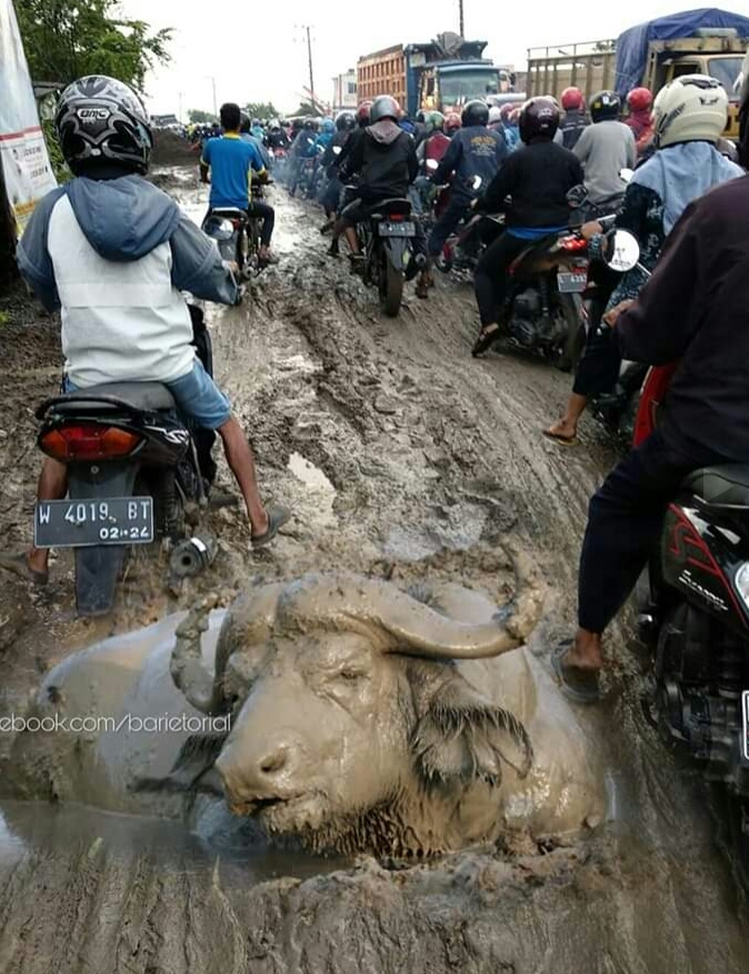 Terbaru 24+ Gambar Perbaikan Selokan