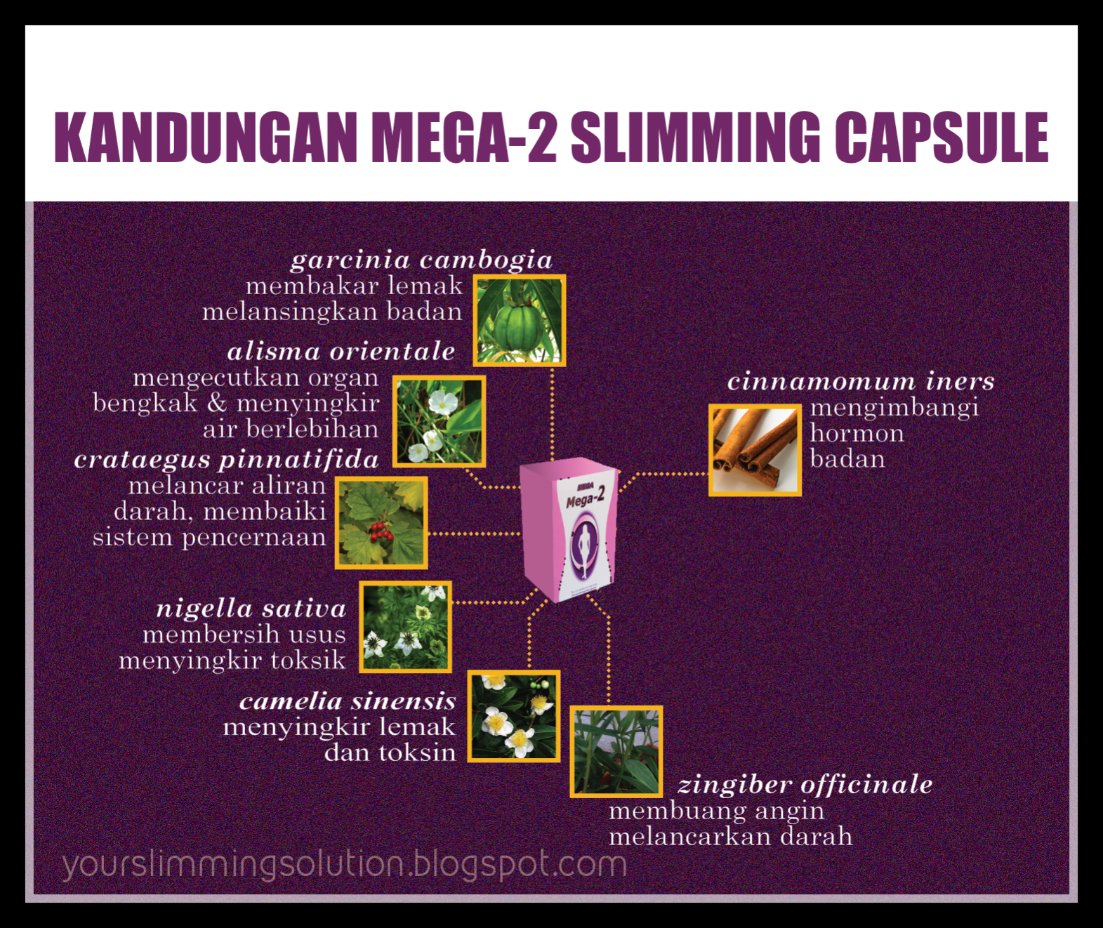 The Slimming Secrets Com: Mega 2 Slimming Capsule