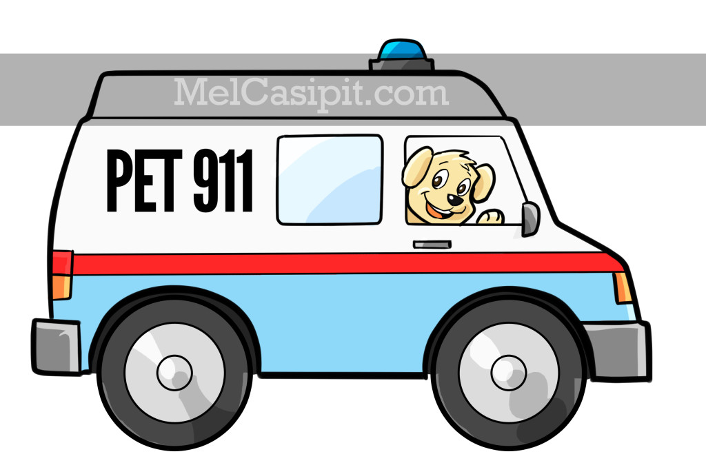 EMS SOLUTIONS INTERNATIONAL by @DrRamonReyesMD marca registrada: Animal ...