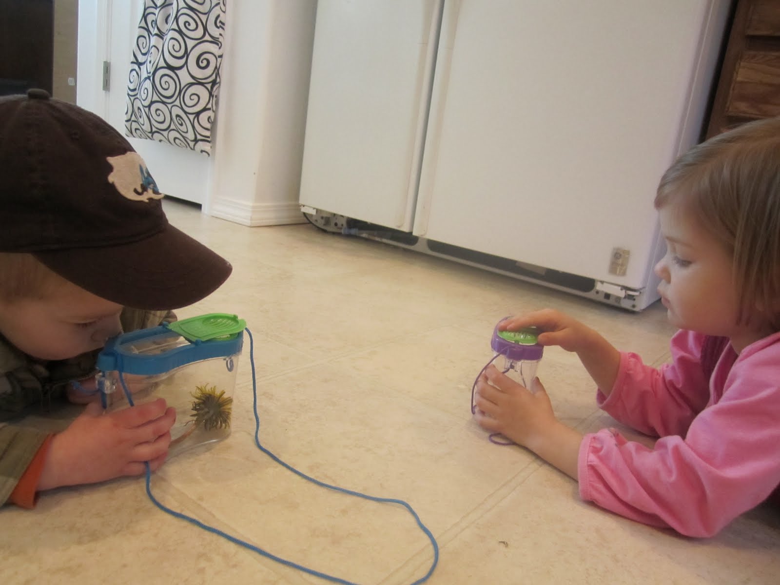 Dollar Store Must-Have: Bug Catchers