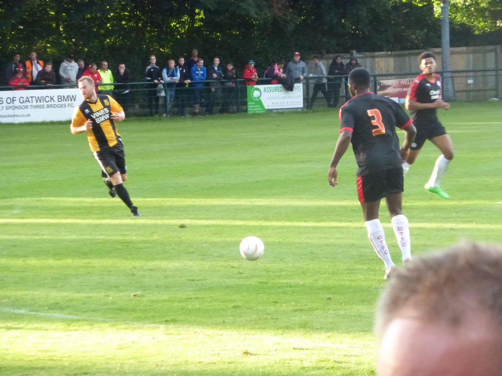 Crawley Town Football Club History: THIRTY TWO PICTURES: Three Bridges ...