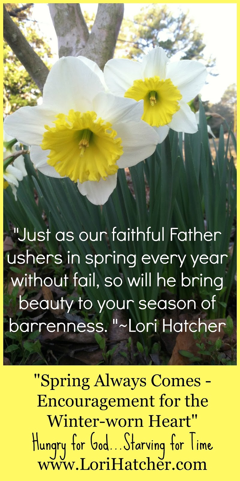 Hungry for God: Spring Always Comes -- Encouragement for the Winter ...