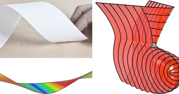 Rhinoceros 6 student license - bodyloced