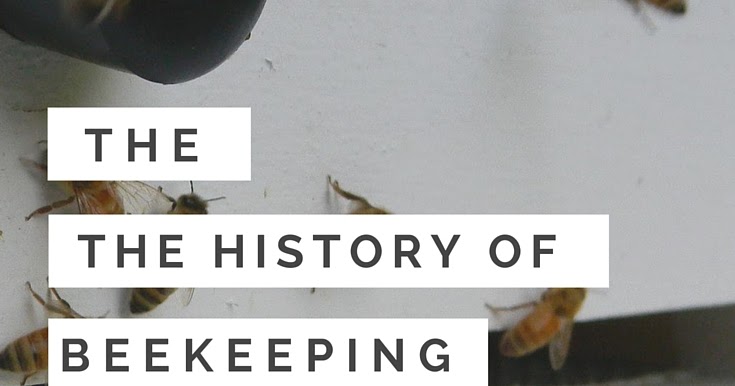 The History of Beekeeping