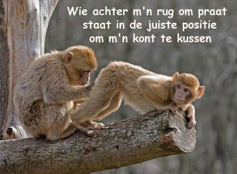 Anita`s crea site: Uitspraken over vriendschap/roddel