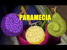 One Piece: Las Frutas del Diablo