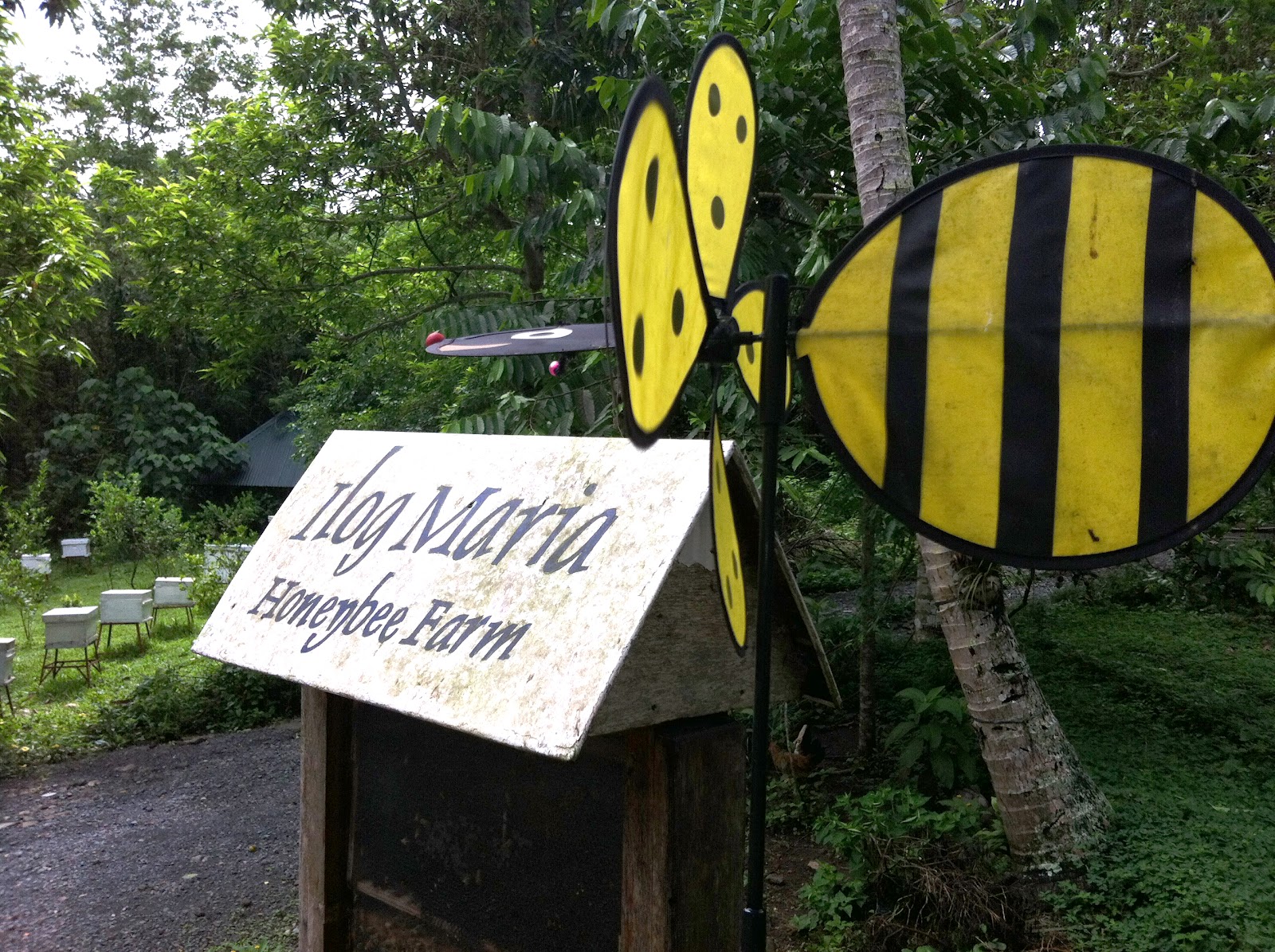 mentalfeet: Honey, Honey, let's visit Ilog Maria Honeybee Farm