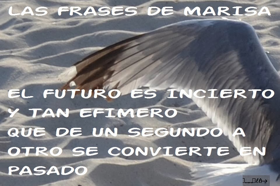 Las Frases de Marisa: EL FUTURO ES INCIERTO