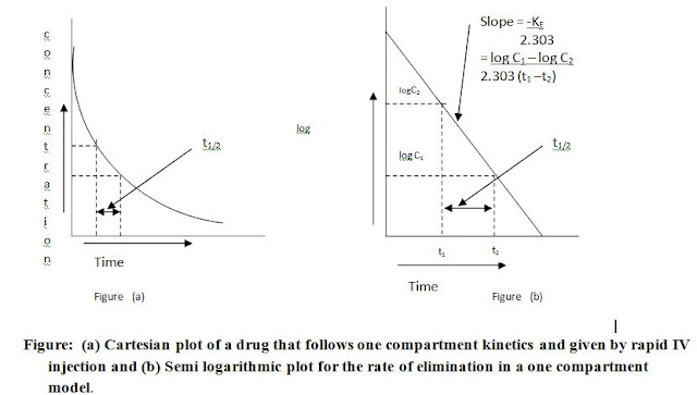 ELIMINATION RATE CONSTANT