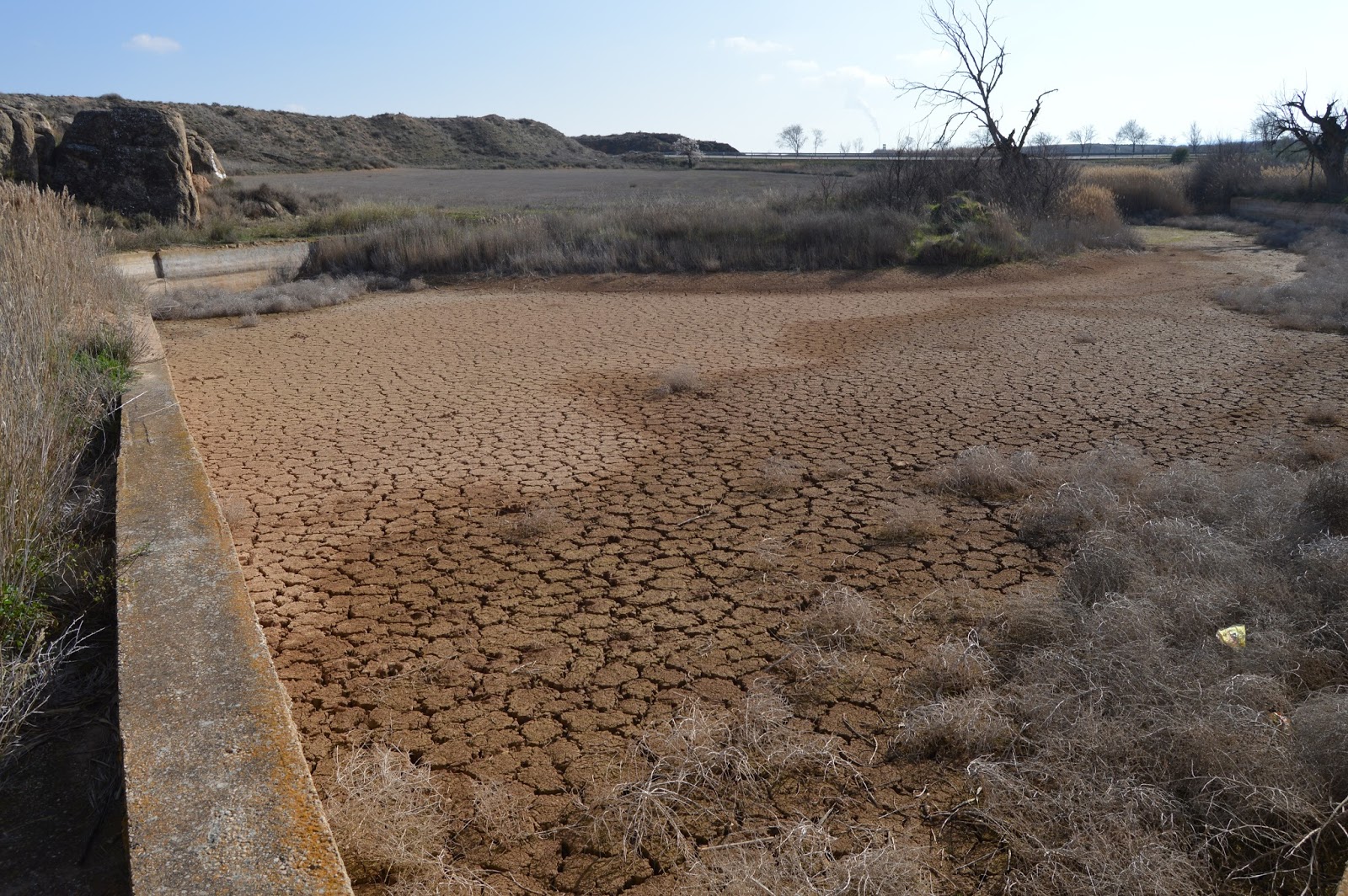 eshijar : EL MONTE DE HIJAR , PALMO A PALMO : La balsa de Matagatos.