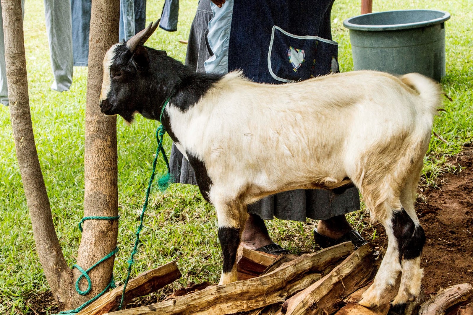 NGONYAMA PHOTOGRAPHY: TRADITIONAL TSONGA WEDDING