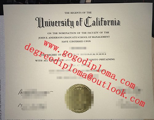 www.gogodiploma.com