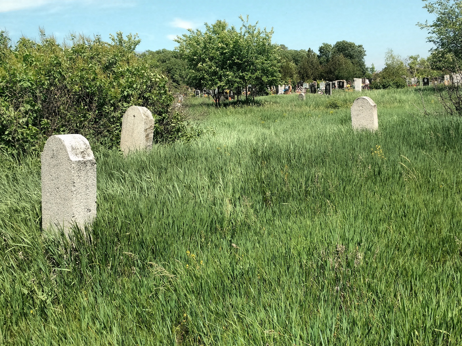 Saw this, did that.: Visiting the Chortitza colony - part 1