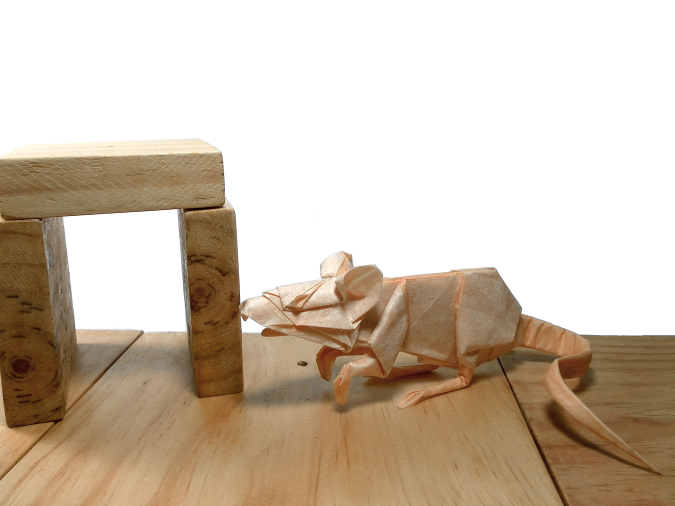 Mariano-Mi mundo el Origami: Ratatouille and friends