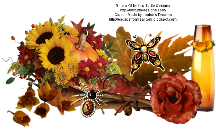 Escape From Reality Blog: "Shiela" Autumn FTU Clusters & Cluster Frames