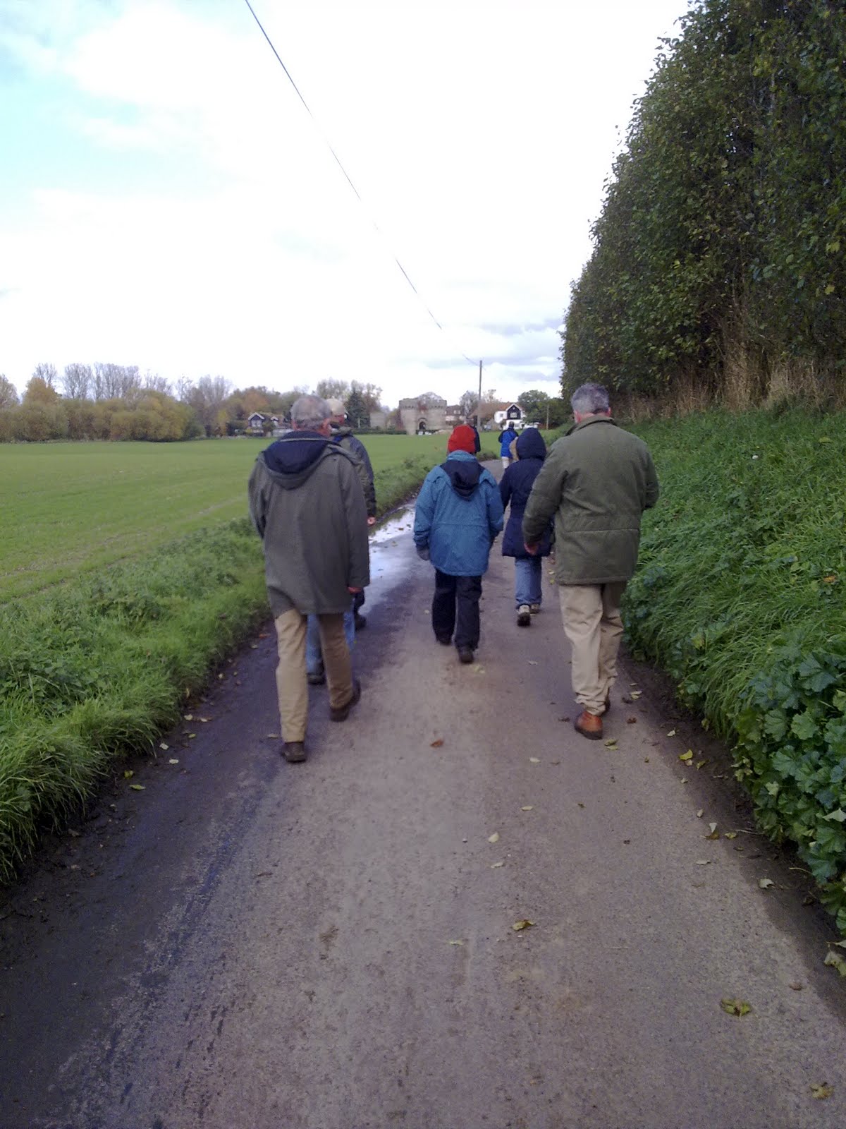 Notes from Kent's Hoo Peninsula: High Halstow Walkers – February Walk