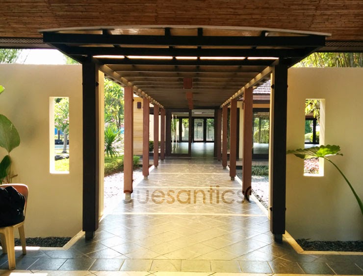 Lique's Antics: Party Venue: Ayala Hillside Estates Social Hall Clubhouse