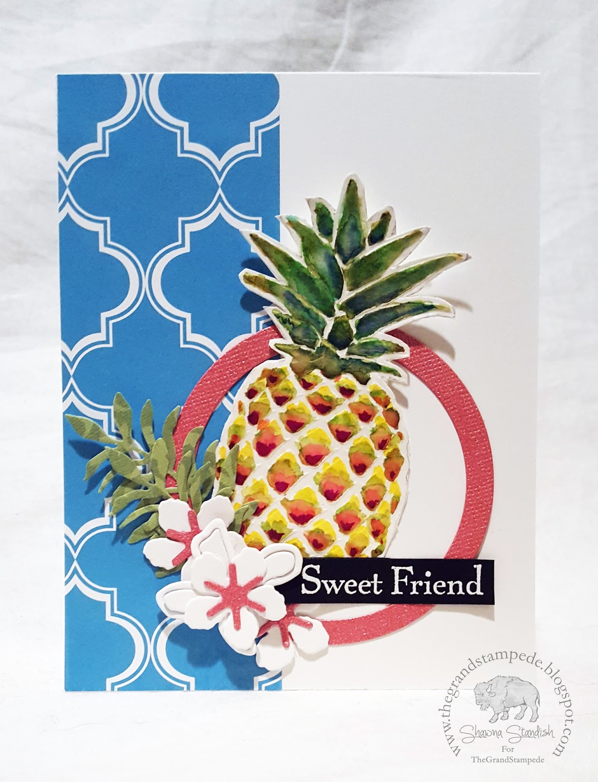 TheGrandStampede: Pineapple Friend