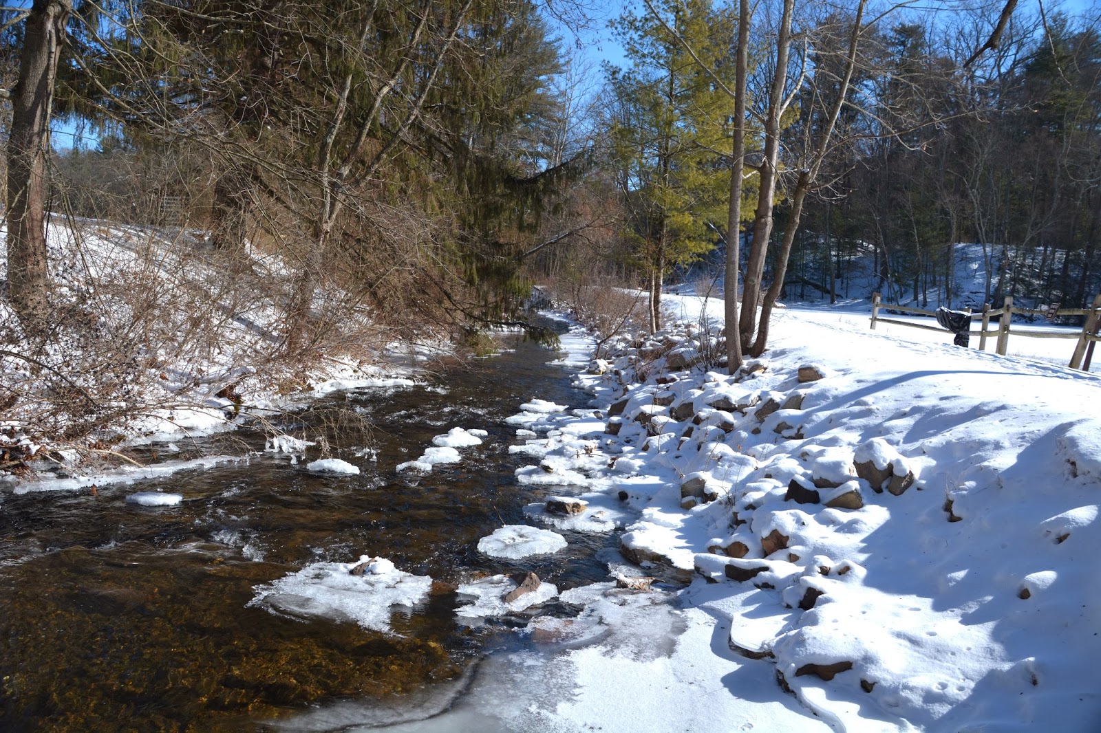 My World in Pennsylvania and Beyond: Laurel Lake and Fuller Lake at ...