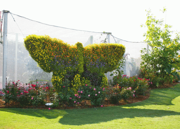 artsiefartsiez: Artistic Topiary