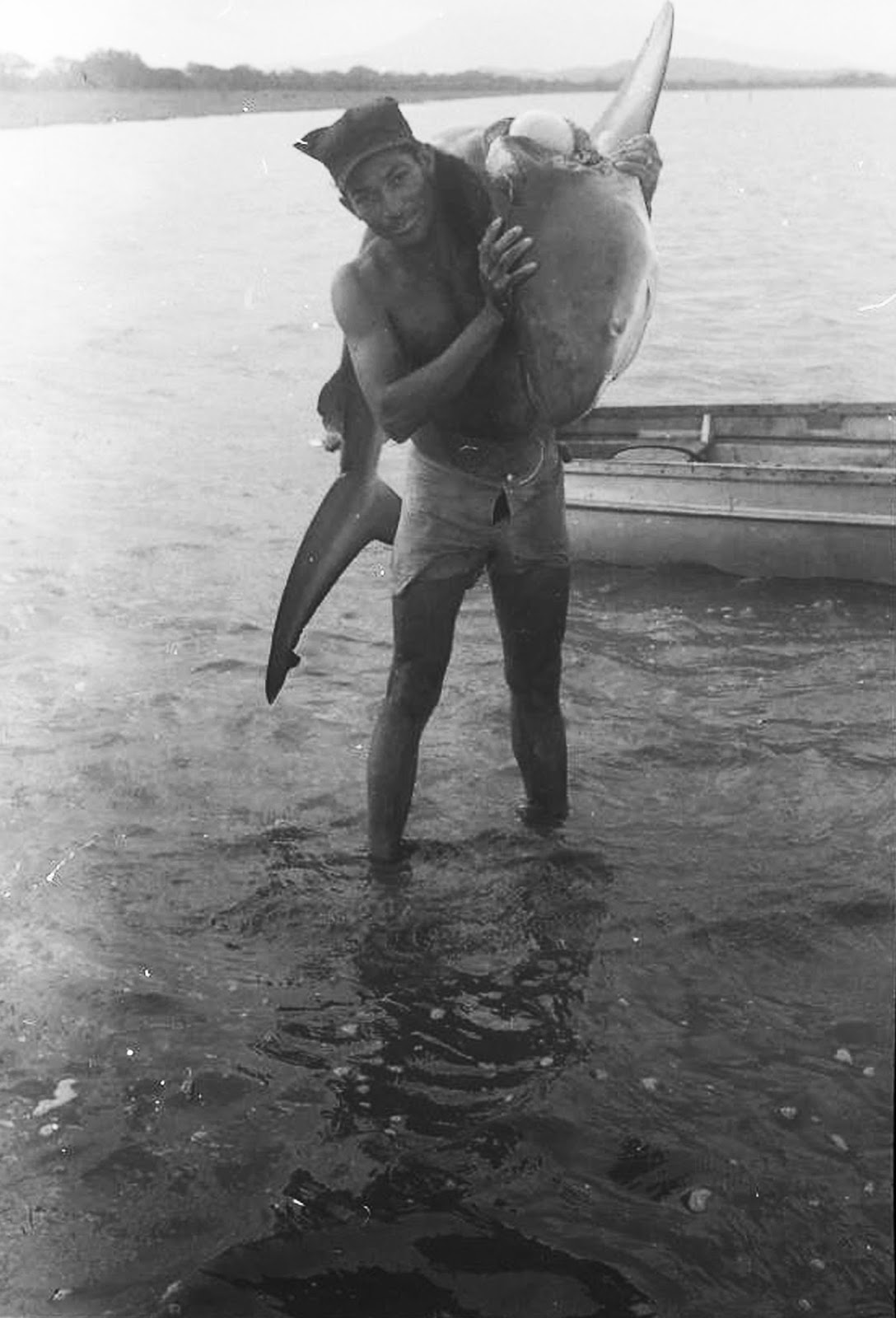 Buceo con Tiburones: ¿Tiburones de Río?