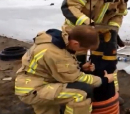 White Wolf : Firefighters in Sweden rescue a stranded fox pup in an ...