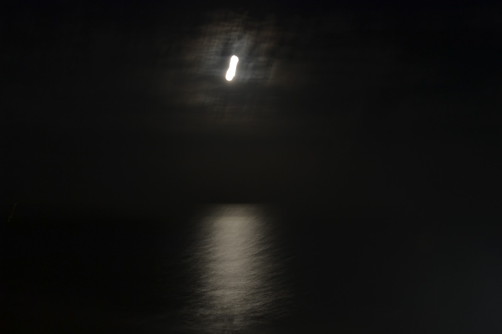 The Art of Finding Emily.