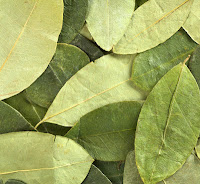 Julián Katari: La hoja de coca en Bolivia