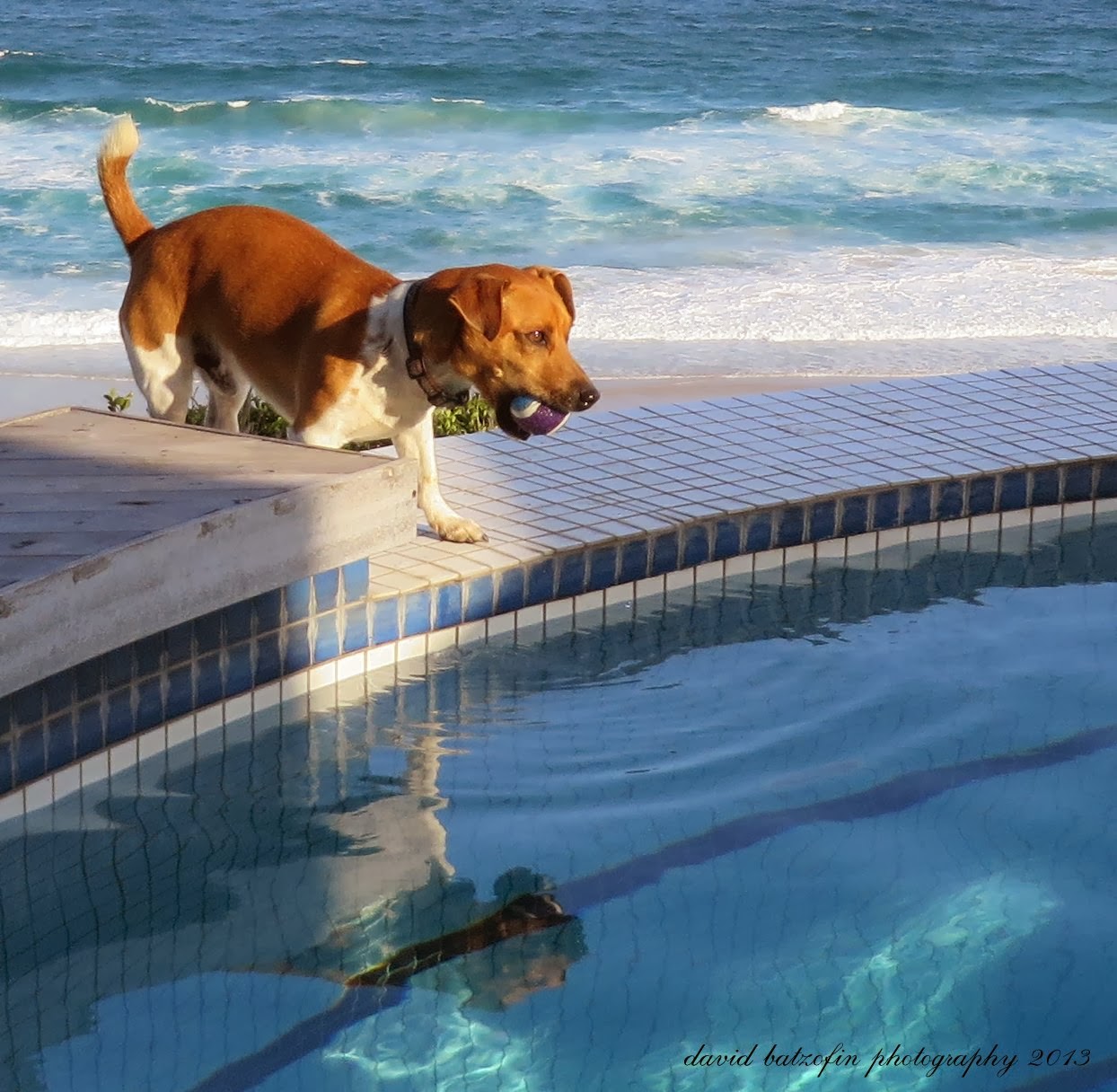 What to do at Massinga Beach. - Travel & Things