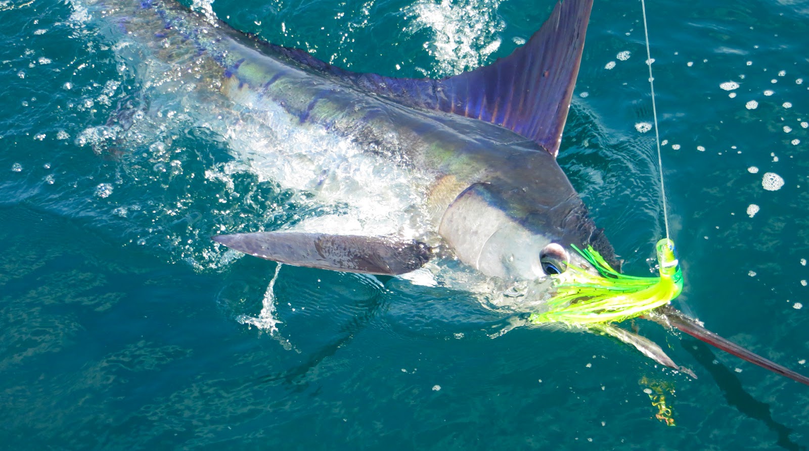 Pisces Fleet Sportfishing Blog: Aug 10, 2012