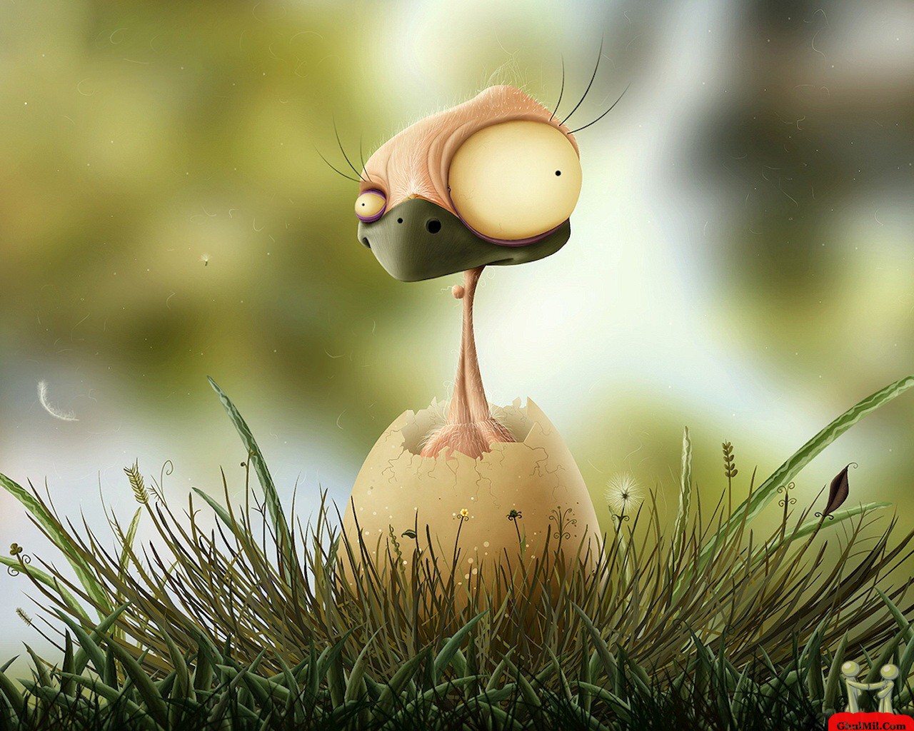 Amazing Funny Photos 2011 | All Funny