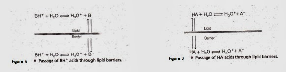 QUICKSILVER: Drug Distribution and pKa