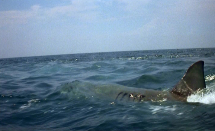 Jaws 2 blog