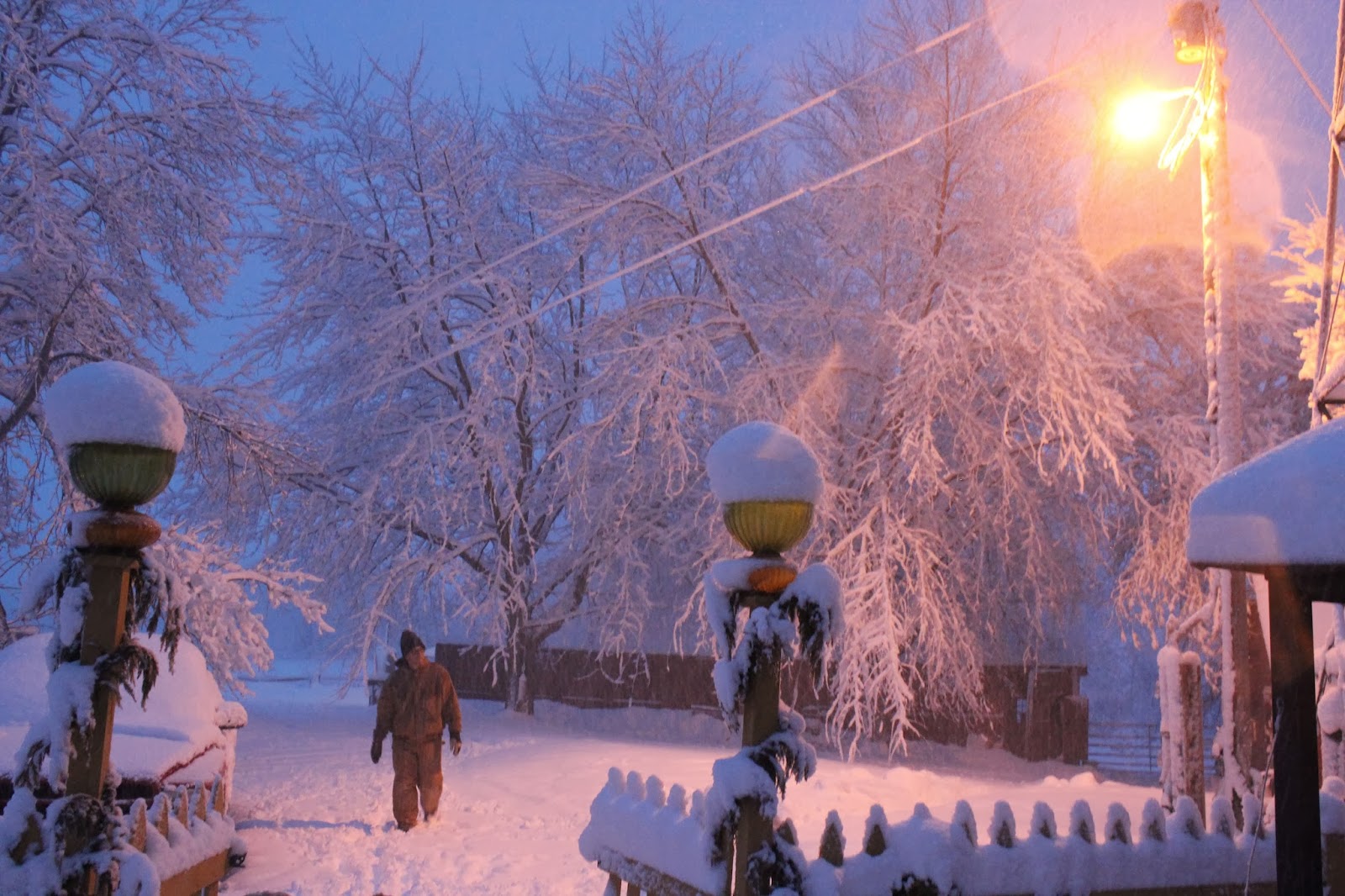 Squash Blossom Farm: Beautiful Blizzard