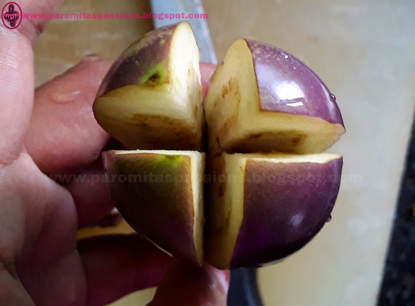 Masala Baingan | Spicy Brinjal Gravy - Paromita's Passions