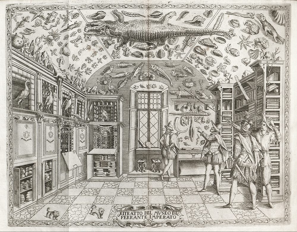 artbouillon: The Curious History of Museums