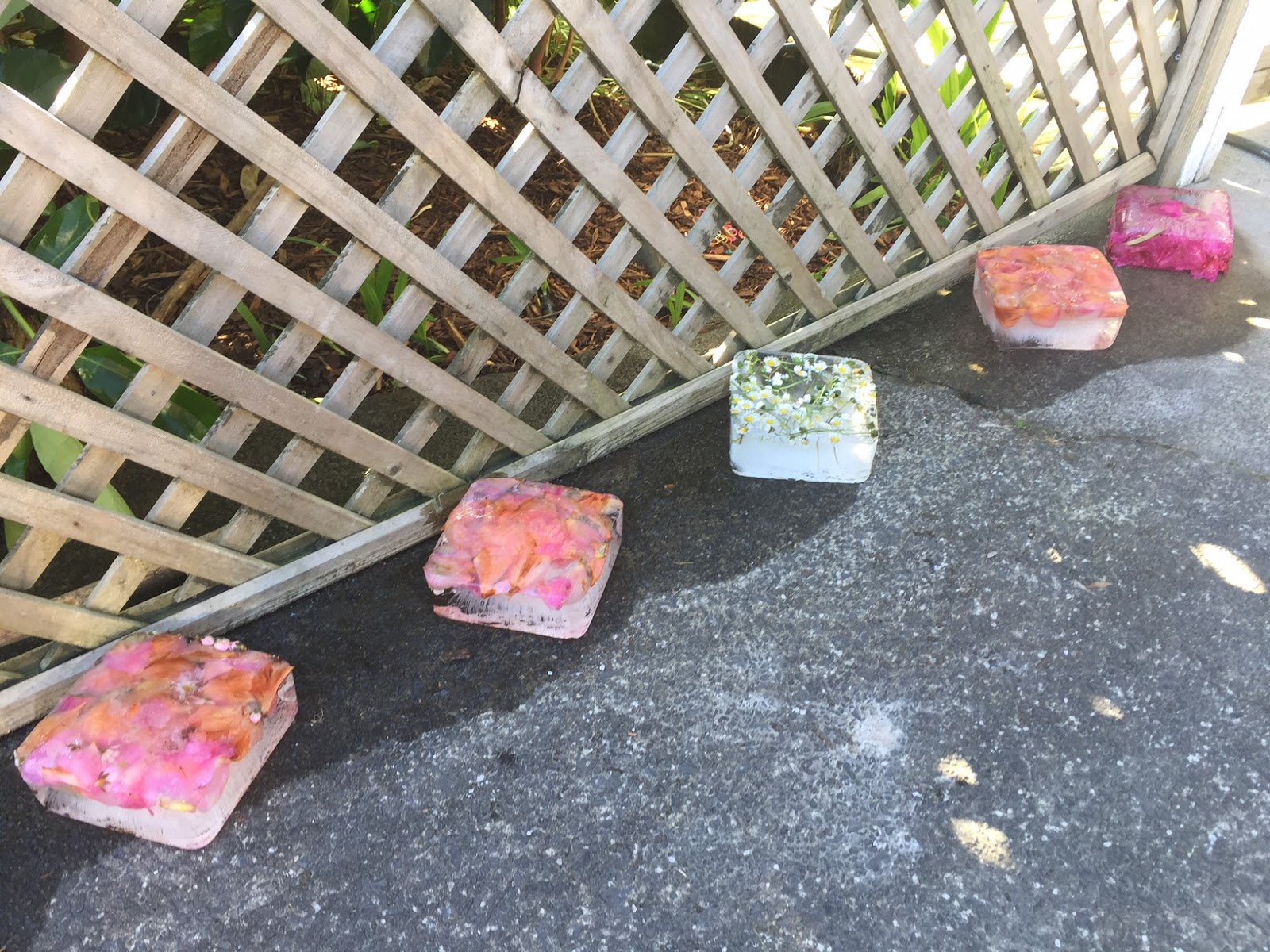 Craving Fresh A Lego Elves Birthday Party craving-fresh-a-lego-elves-birthday-party