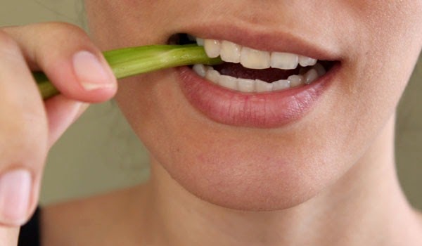 Comunica Fono Jr: Benefícios de uma mastigação correta