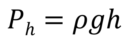 Física II Equipo #5: Presión hidrostática