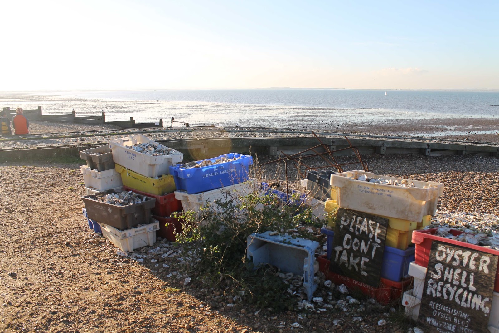 Wine, food and other pleasures: Foodie breaks: Kent – Whitstable
