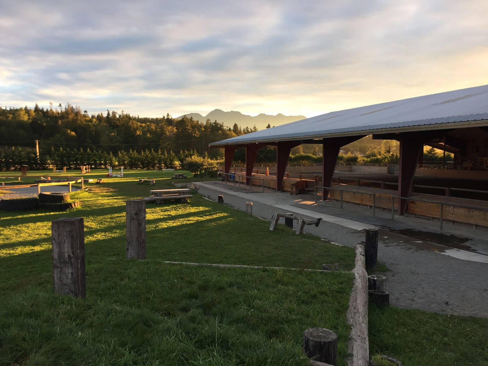 Wise Horsemanship at Freedom Farm: A Visit to Freedom Farm