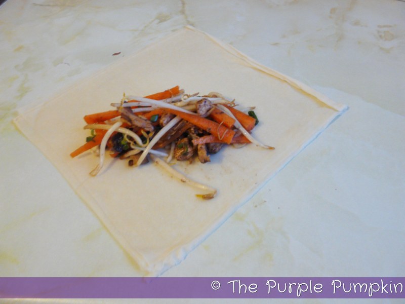 Chicken and Vegetable Spring Rolls