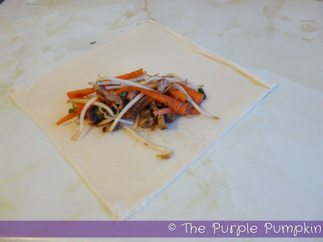 Chicken and Vegetable Spring Rolls