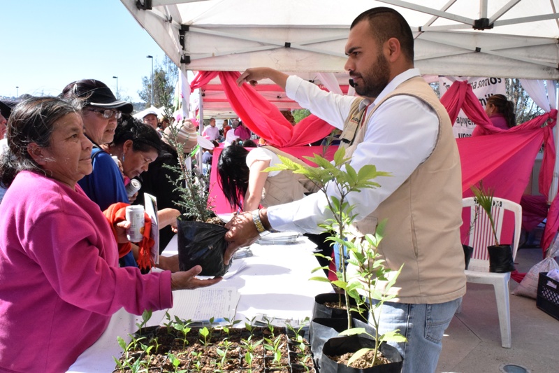 Quihubole!!!: BENEFICIA VIVERO DEL PARQUE MORELOS A BAJA CALIFORNIA