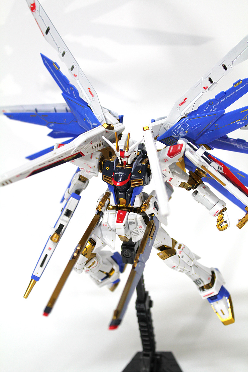 Custom Build: RG 1/144 Freedom Gundam "Gold Frame"