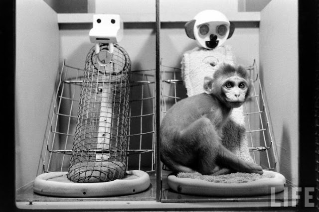 Res Obscura: A Medieval Emperor's Natural Language Experiment