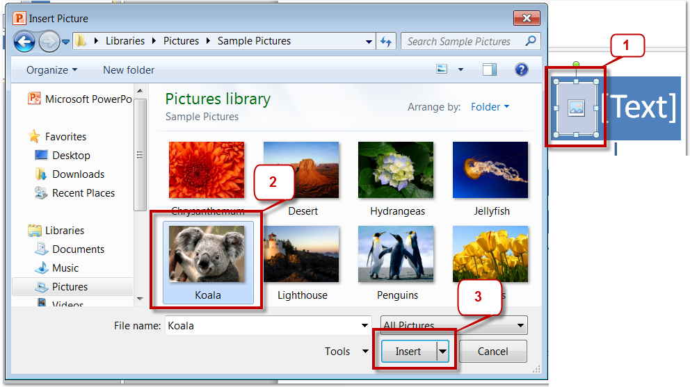 Stark County District Library - Technology and Computer Training ...