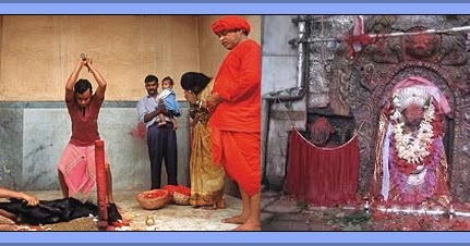 No PC Views: India: Human Sacrifices To Kali Revived