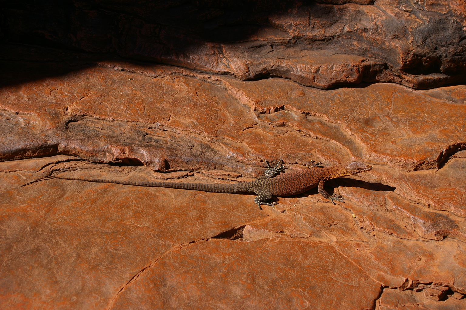 Now and Then, Here and There: Karijini N.P.